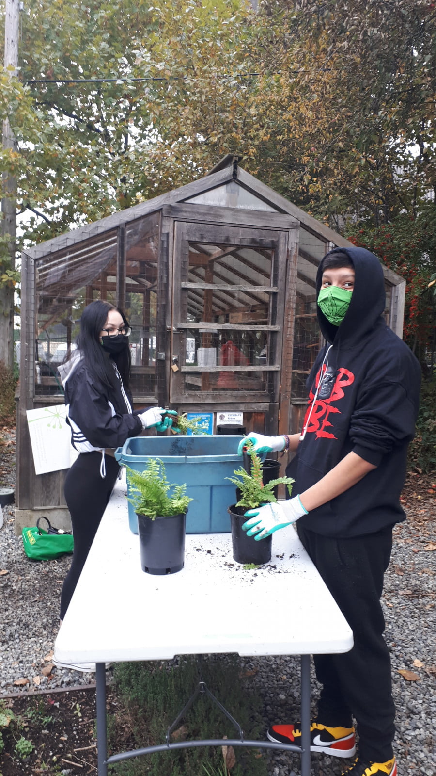 Youth-led environment projects adapt in response to COVID-19 pandemic ...